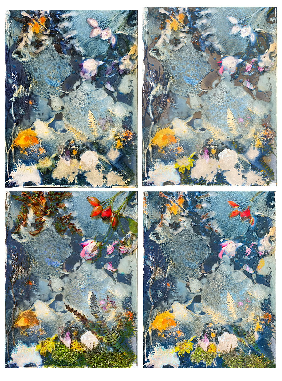 The Art of Cyanotype – Blending Digital and Traditional with Peter ...